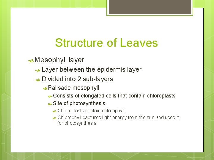 Leaves Introduction to Agriculture Plant Science Unit Leaves