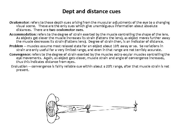 Chapter 8 Vision in three dimensions Basic issue