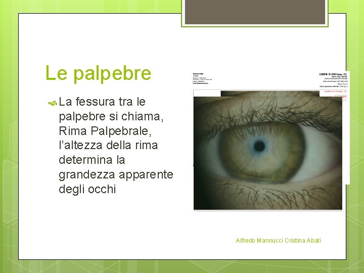 Le palpebre la cornea il liquido lacrimale Dott