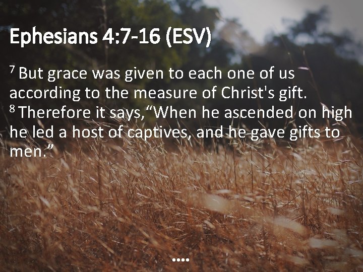 Ephesians 4 7 16 ESV 7 But grace