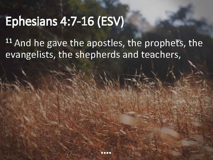 Ephesians 4 7 16 ESV 7 But grace