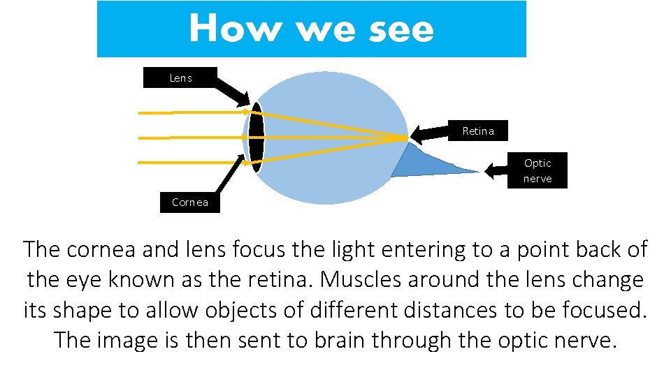Lesson Starter Draw a diagram which shows how