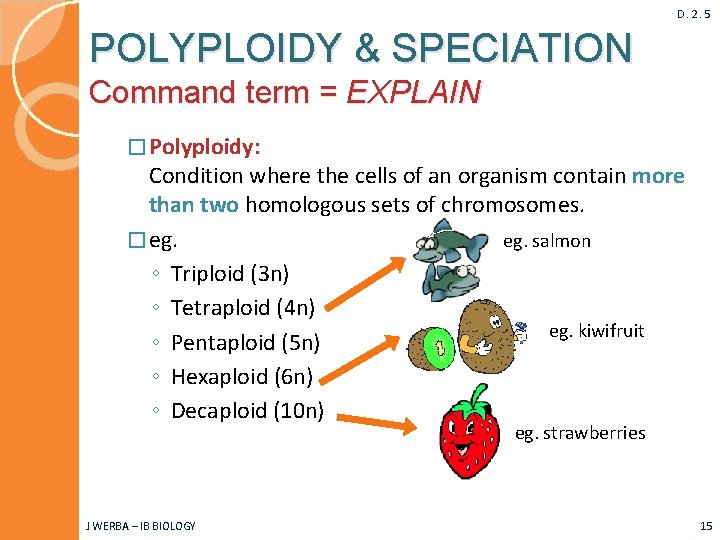 SPECIES SPECIATION Option D 2 IB Biology Miss