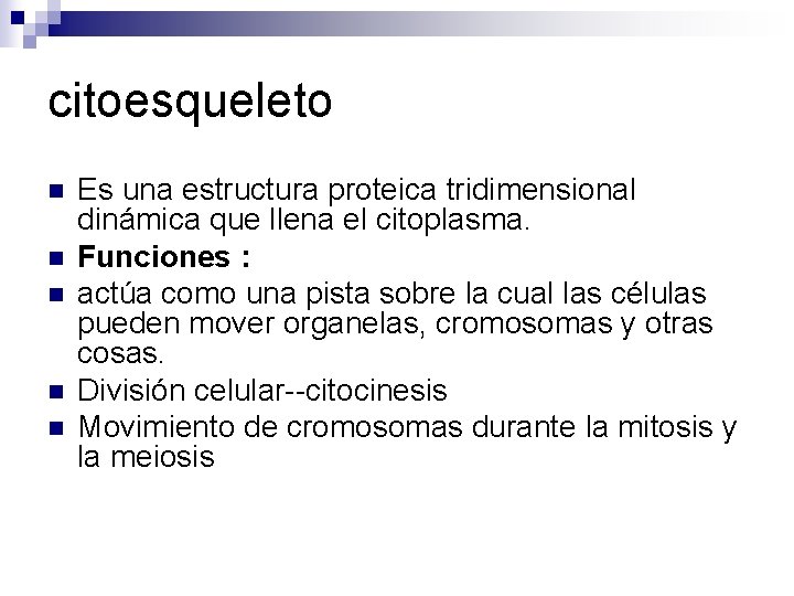 CITOESQUELETO BIOLOGIA CELULAR Prof Ana Vallejo Galleguillos citoesqueleto