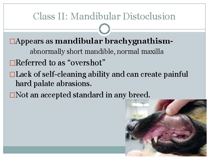 Malocclusion Malocclusion is an abnormality in the position