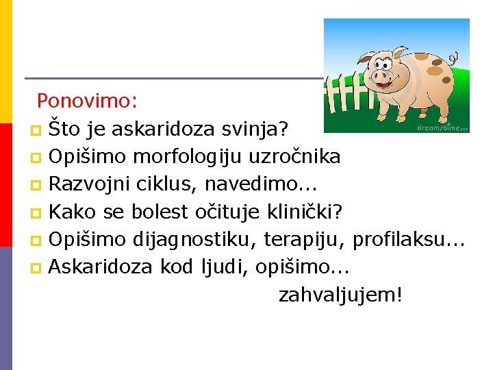 Askaridoza svinja Parazitska bolest uzrokovana Ascaris lumbricoides syn