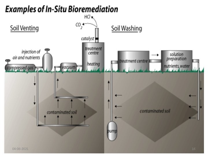 BIOREMEDIATION By Dr Zaryab Khalid Class MS Botany