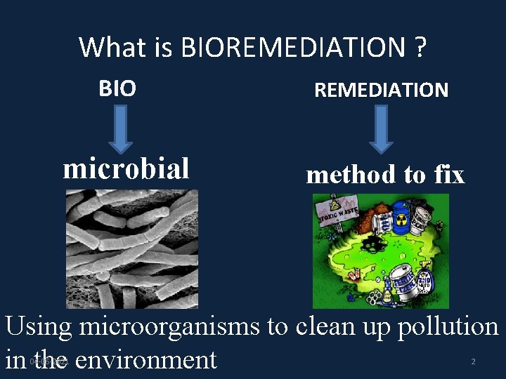 BIOREMEDIATION By Dr Zaryab Khalid Class MS Botany
