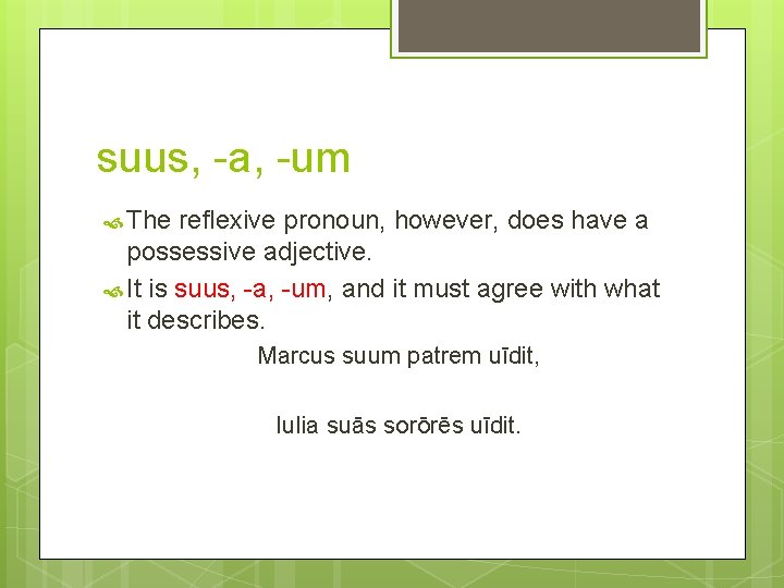 Latin Grammar Reflexives s suus a um Grammar