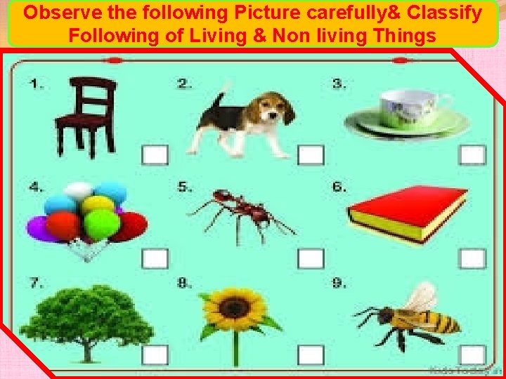 Charactaristics of Living Thing Observe the following Picture