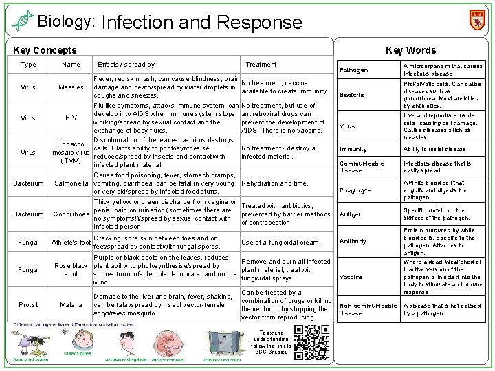Biology Infection and Response Key Words Key Concepts