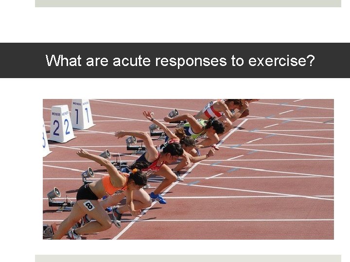 Acute Responses to exercise What are acute responses