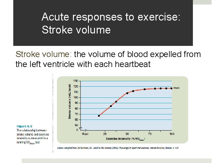 Acute Responses to exercise What are acute responses