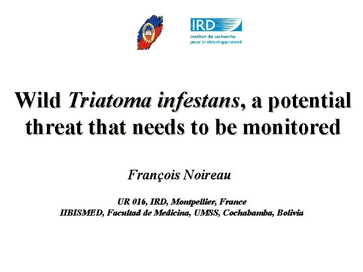 Wild Triatoma infestans a potential threat that needs