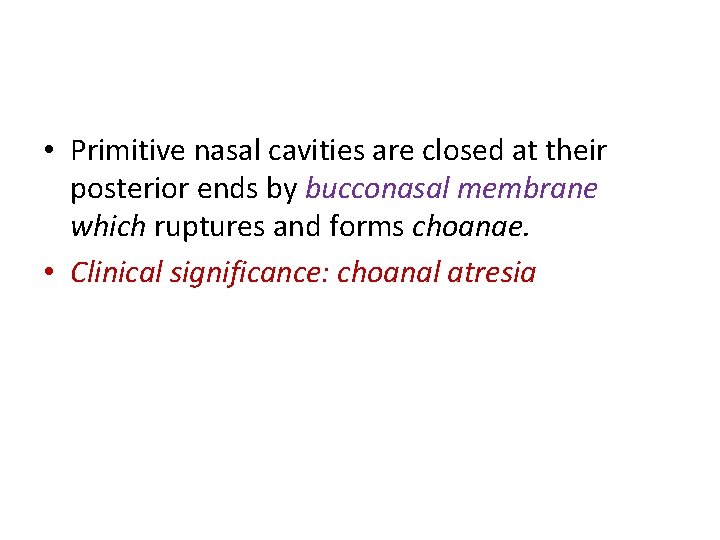 Anatomy of Nose and PNS DR ABHISHEK BHARDWAJ
