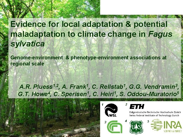 Evidence for local adaptation potential maladaptation to climate