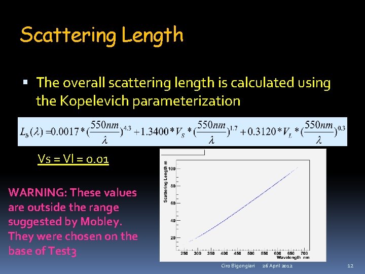 SIMULATION OF PHOTON PROPAGATION IN CALIBOB Ciro Bigongiari