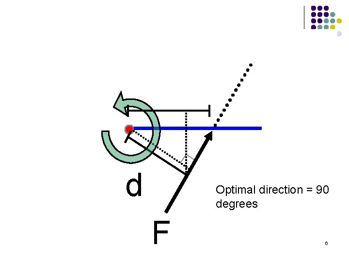 Basic Biomechanical Factors and Concepts Anatomy and Physiology