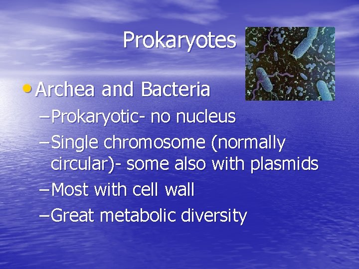 Chapter 5 Microbes Viruses Viruses in the Marine