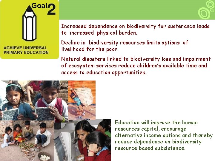 Linking Millennium Development Goals with Biodiversity Dr Asha