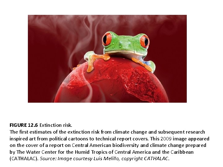 CH 12 Estimating Extinction Risk from Climate Change