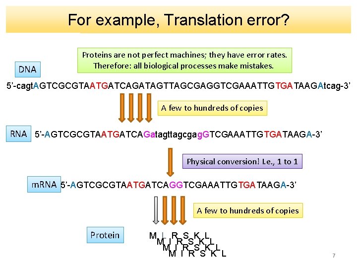 Basics of Biology 4 The Genetic Basis of