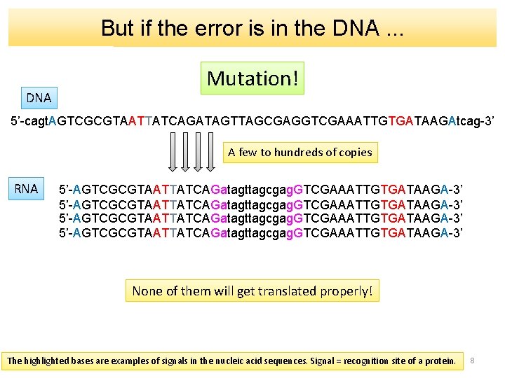 Basics of Biology 4 The Genetic Basis of