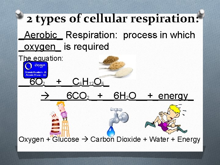 Cellular Respiration Notes Cellular Respiration is the process