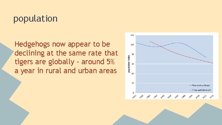 Hedgehog Kendra Thoen Erinaceinae 15 species the hedgehog