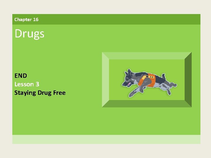Chapter 16 Drugs Lesson 3 Staying Drug Free