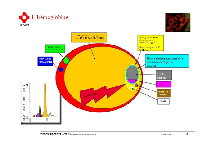 SURVEILLANCE DU DIABETE Hb A 1 c EN