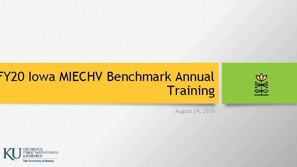 FY 20 Iowa MIECHV Benchmark Annual Training August