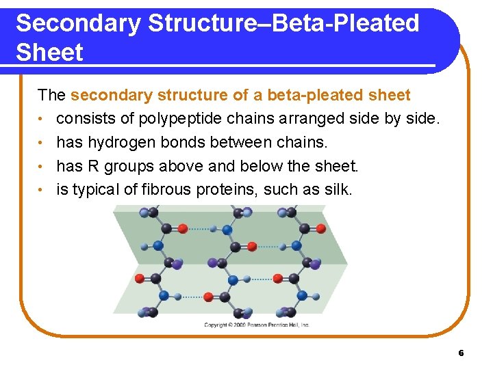 See Page 563 Essential amino acids must be