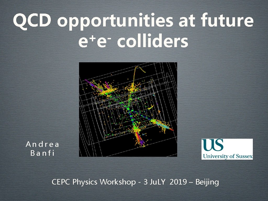 QCD opportunities at future e e colliders Andrea