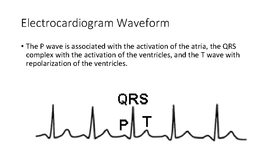 Cardiovascular Laboratory Adapted from The Mc Gill Physiology