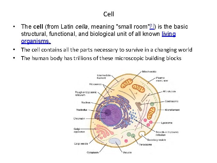 Cell The cell from Latin cella meaning small