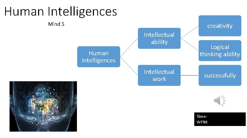 The Human Brain Mind 1 eyes organs ears