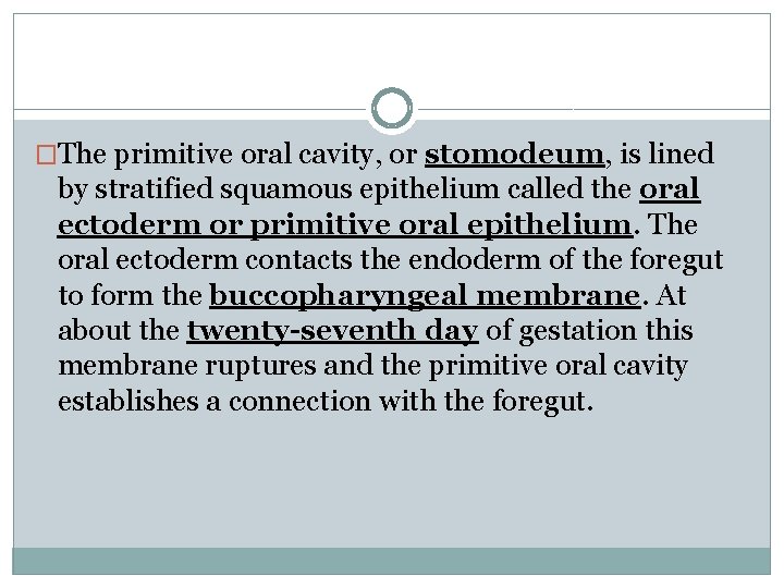 Development and Growth of Teeth The primitive oral