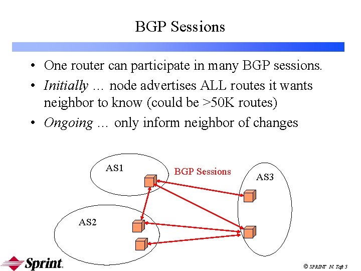 The Basics of BGP Routing and its Performance