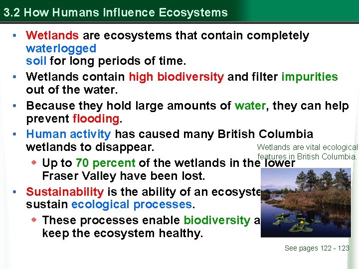 3 2 How Humans Influence Ecosystems Wetlands are