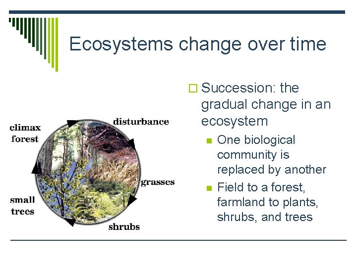 Chapter 12 Interactions Within Ecosystems 12 1 Groups