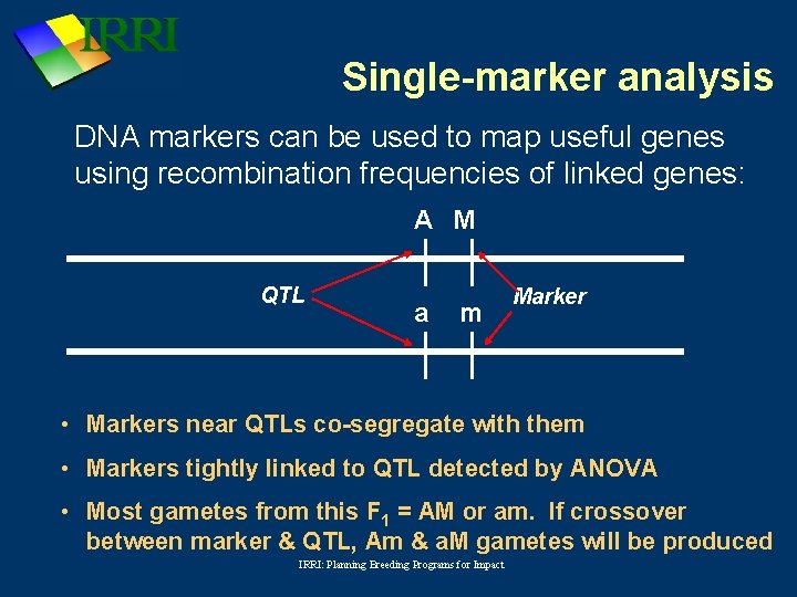 Planning breeding programs for impact QTL analysis and