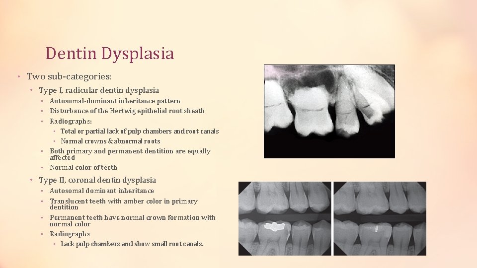 Case Study No 5 Kamesha Mc Fadden Jesabel