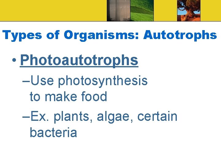 Principles of Ecology Types of Organisms REVIEW Autotrophs