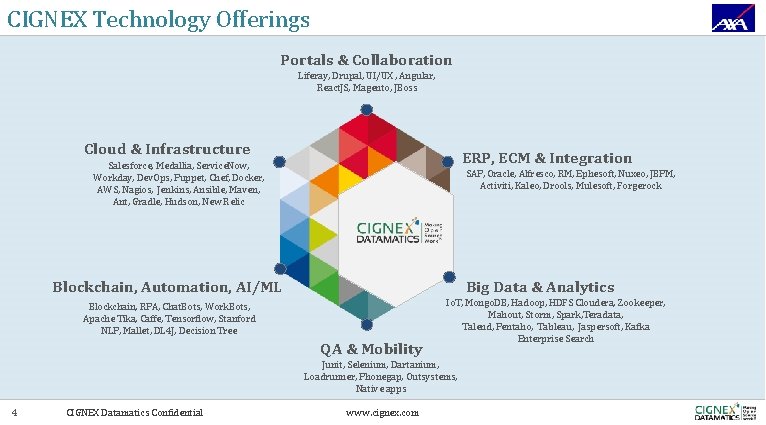 CIGNEX Capability Demonstration Liferay Cloud Services Big Data