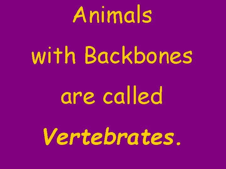 The Animal Kingdom Vertebrates and Invertebrates By Sharon