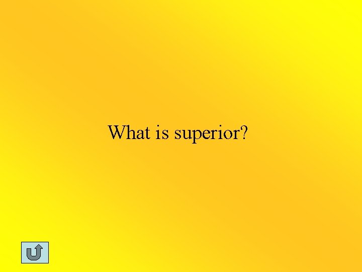 Sections Systems Directional Abdomino Body Functions Organs Terms