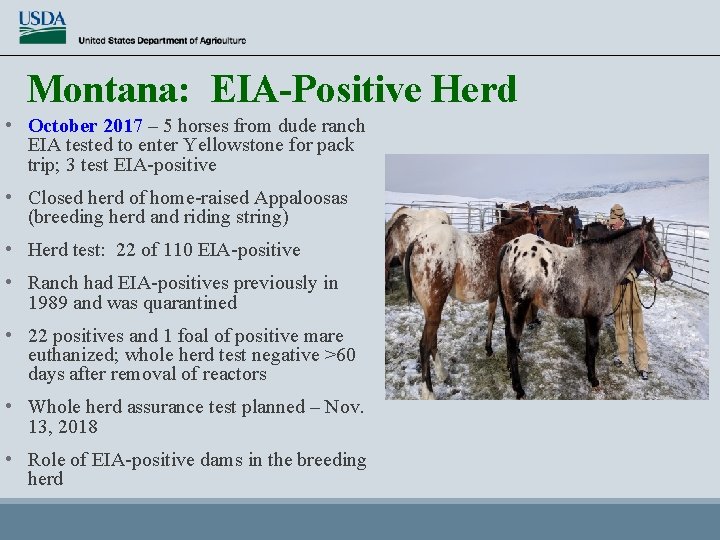 SNAPSHOTS SELECTED EQUINE PIROPLASMOSIS AND EQUINE INFECTIOUS ANEMIA