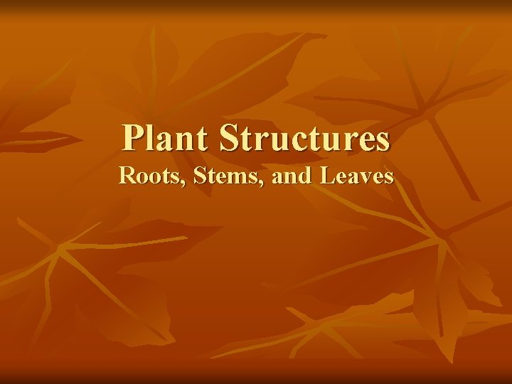 Plant Structures Roots Stems and Leaves What are