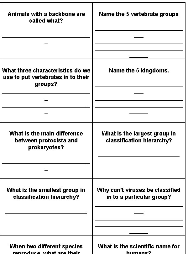 Animals with a backbone are called what Name